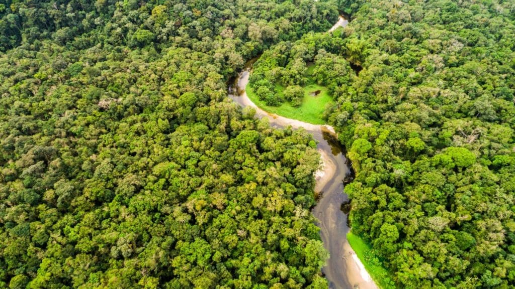 Projeto cria marco para exploração sustentável da Amazônia