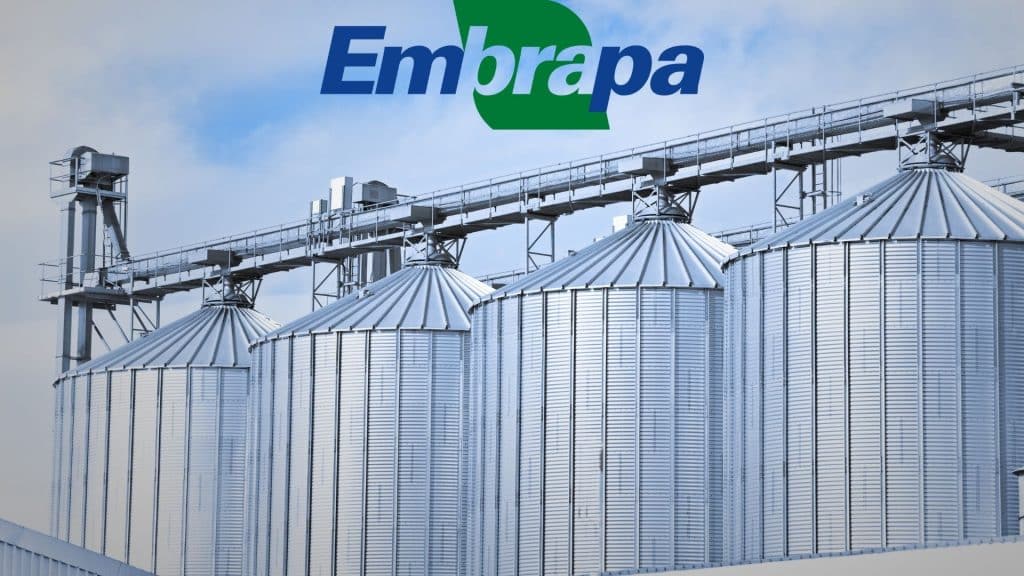 Embrapa é pioneira na pesquisa