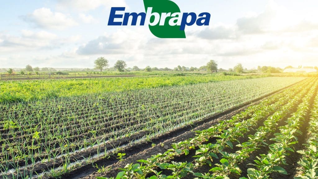 Embrapa Carbono