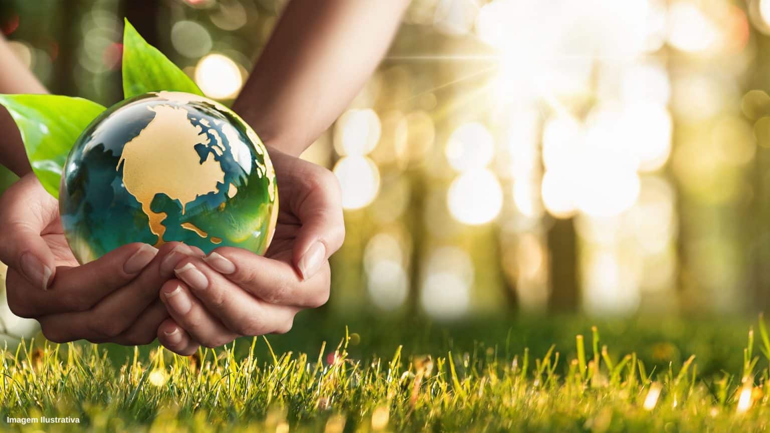 Momento histórico: ONU declara que meio ambiente saudável é um direito ...
