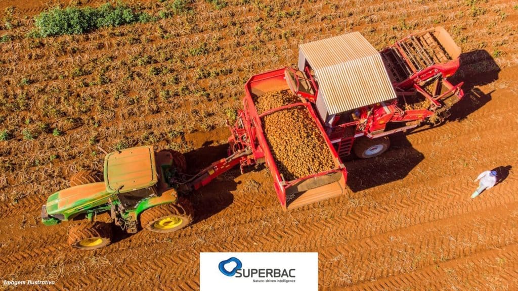 Superbac: Produtos (fertilizantes) biotecnológicos estimulam ...