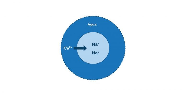 Resinas de troca iônica: Diferenças entre Gaussianas e Uniformes ...