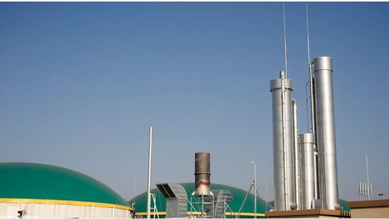 Transição energética: usina argentina transformará 130 mil toneladas de ...