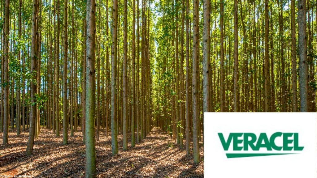 Veracel atinge seu menor índice de uso de água - Tratamento de Água