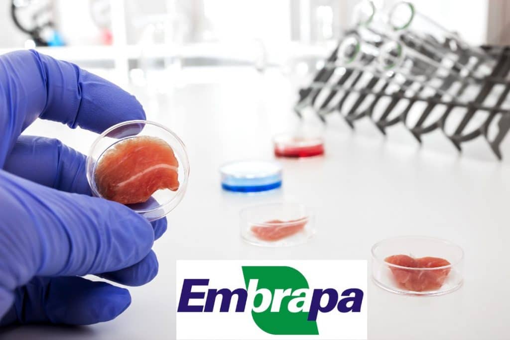 Embrapa devolveu à sociedade R$ 34,70 para cada R$ 1 investido em 2022