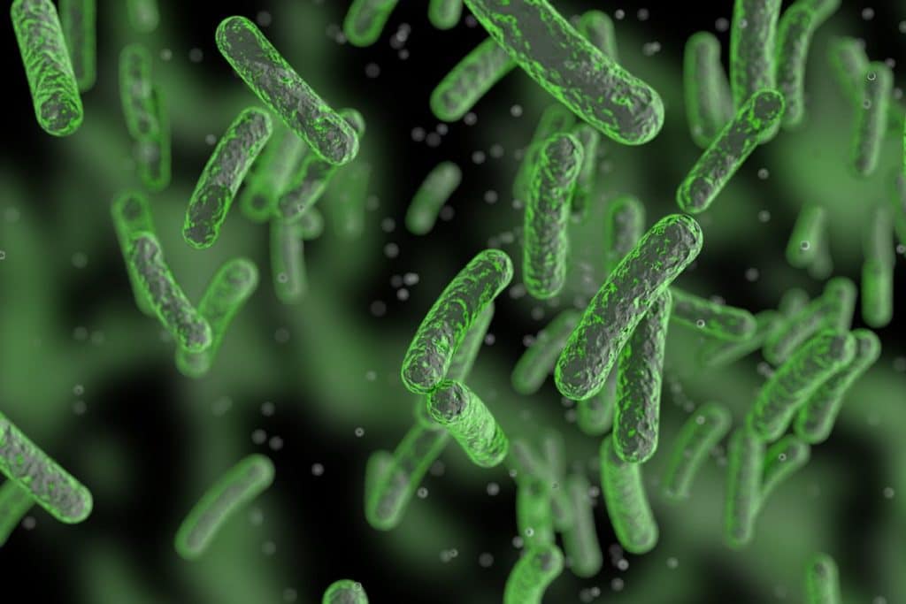 Tinta criada com bactéria de deserto é a nova aposta contra mudanças ...