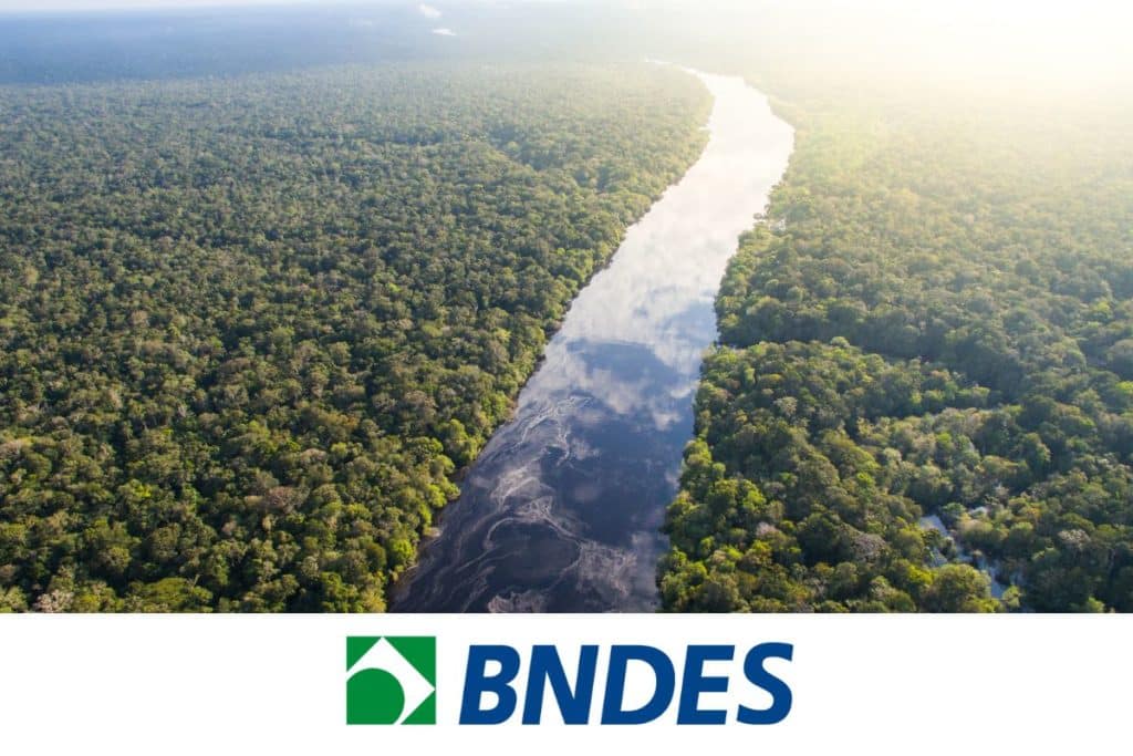 BNDES destina R$ 450 mi para reflorestamento na Amazônia